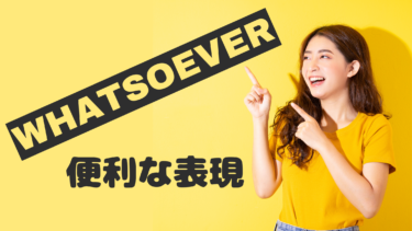 便利な表現「whatsoever」の意味と使い方│やる!!ぱんだ‐ビジネス英会話攻略