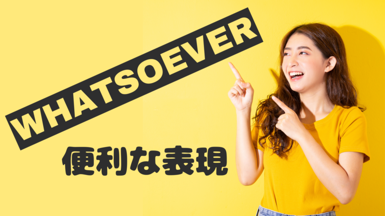 便利な表現「whatsoever」の意味と使い方│やる!!ぱんだ‐ビジネス英会話攻略